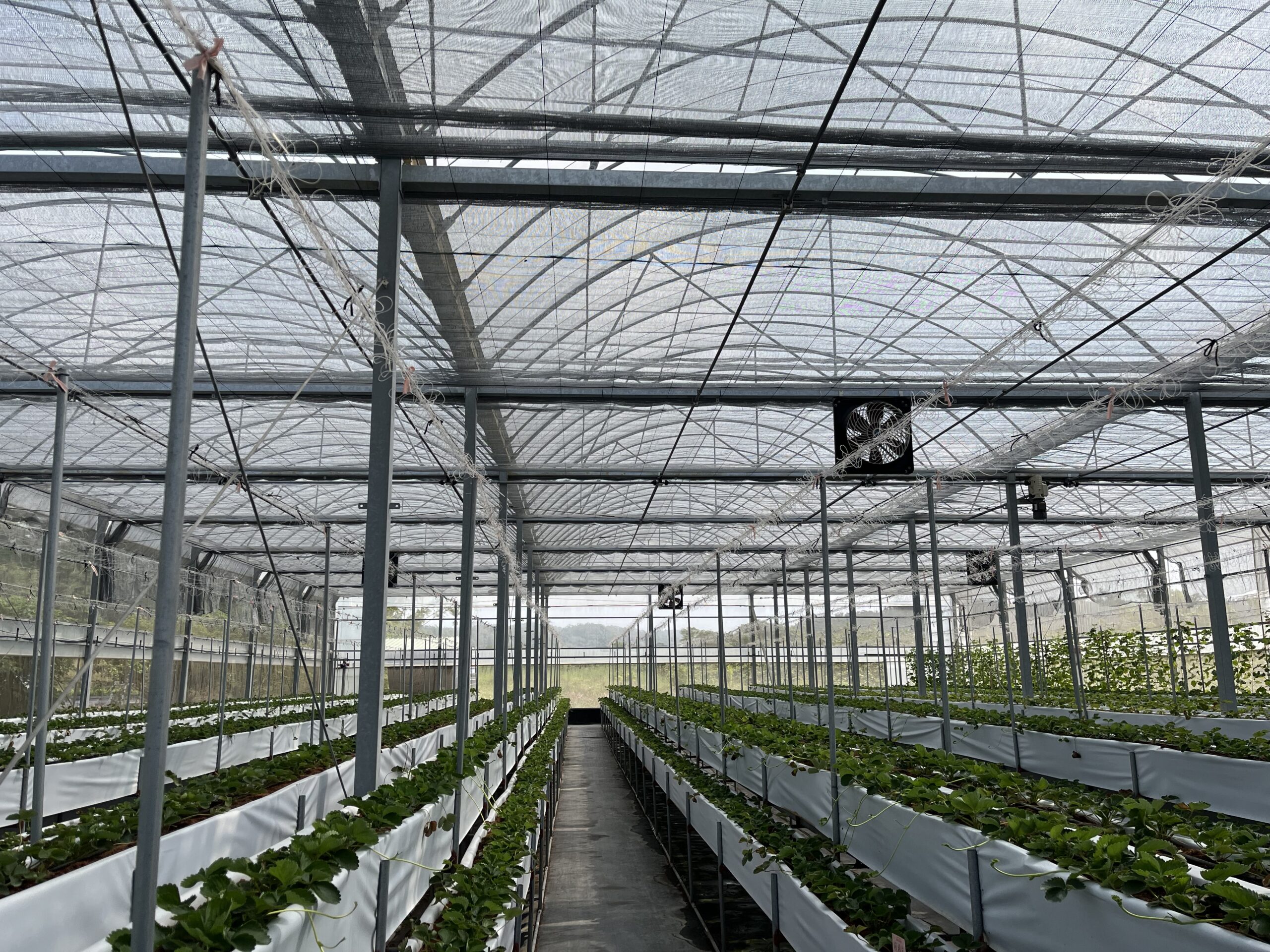 Jixuan Farm | Gogo-TaiwanFarm