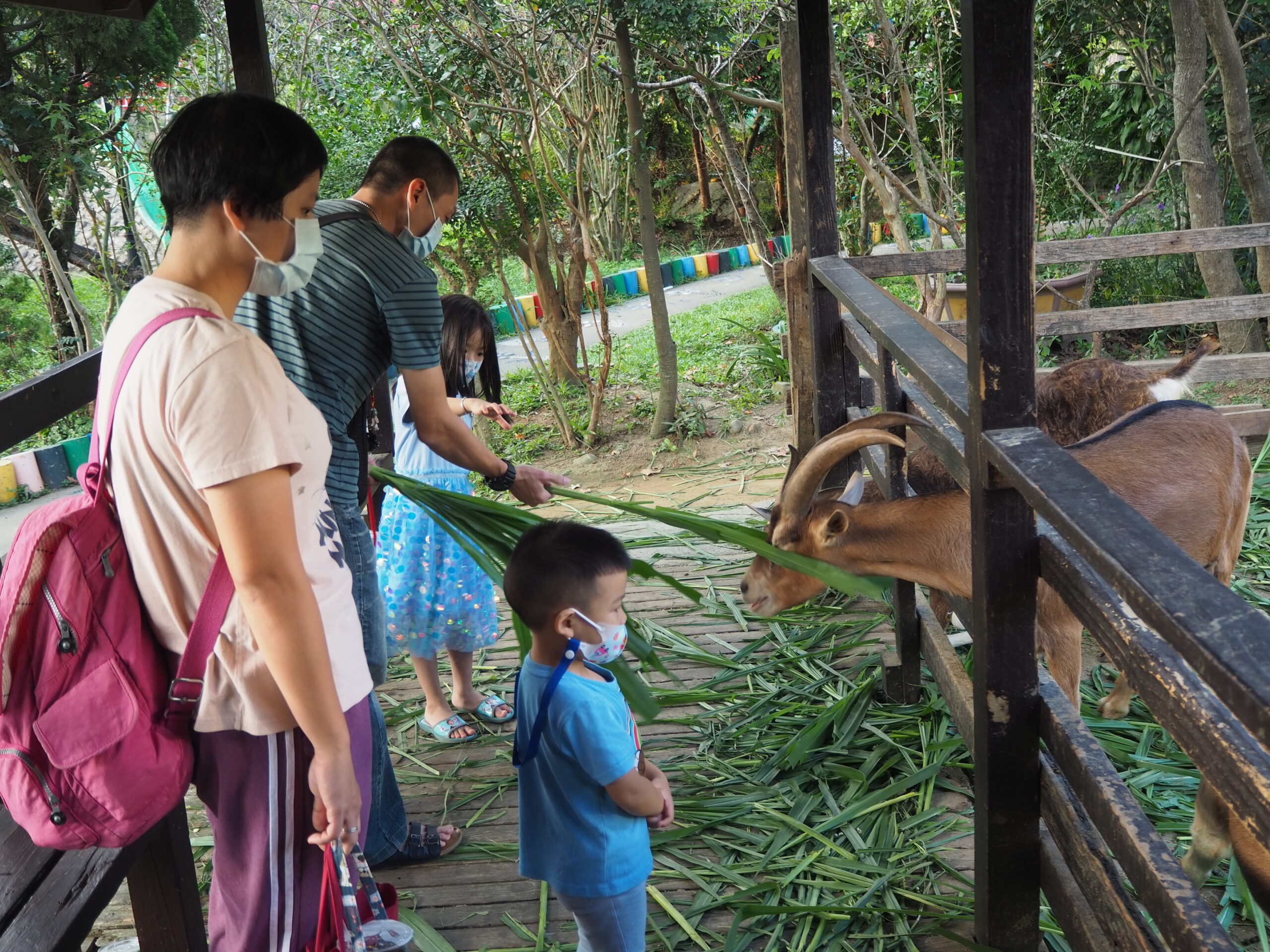 Goat World Leisure Farm | Gogo-TaiwanFarm