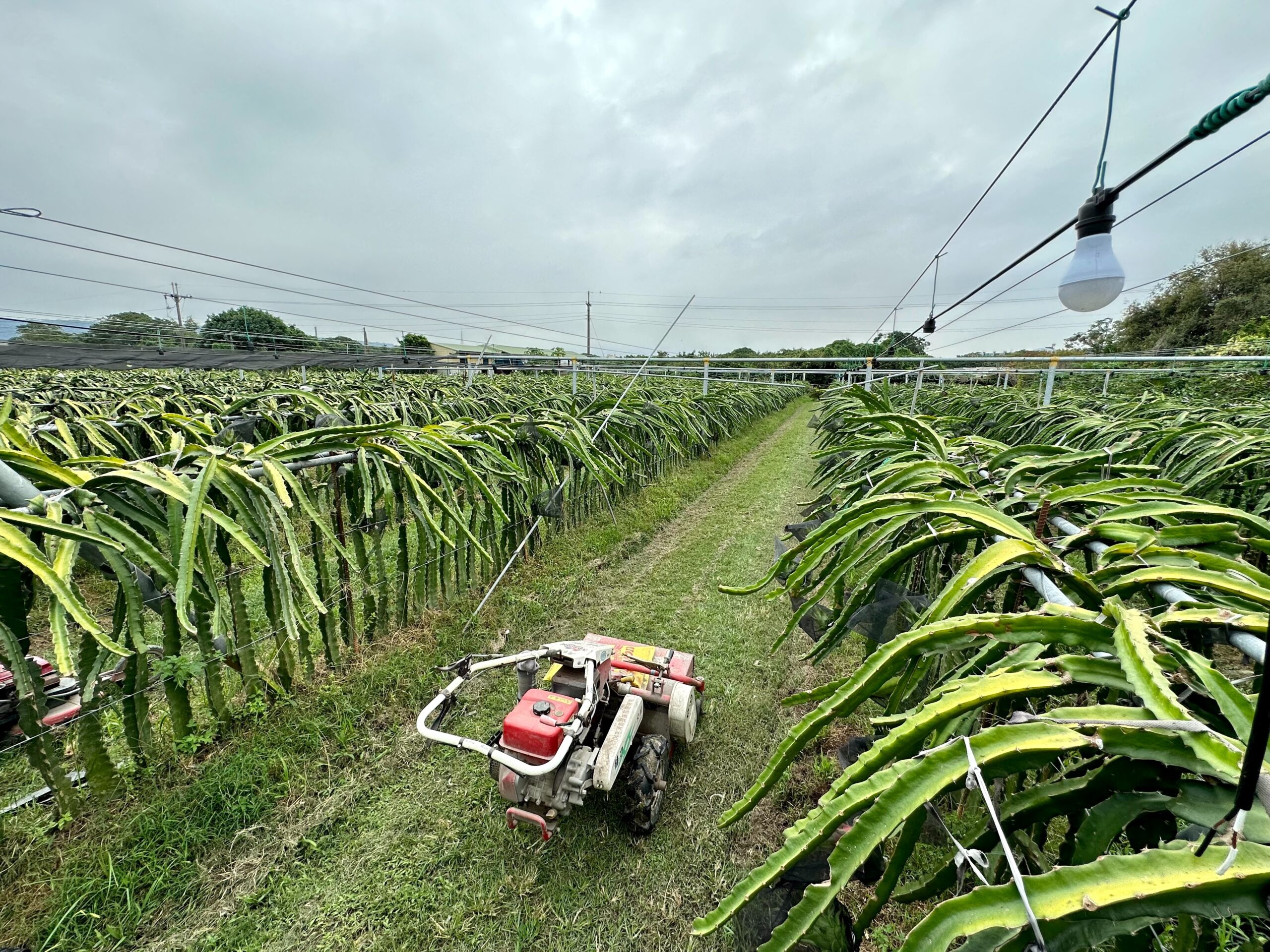 CHUN FU FARM | Gogo-TaiwanFarm