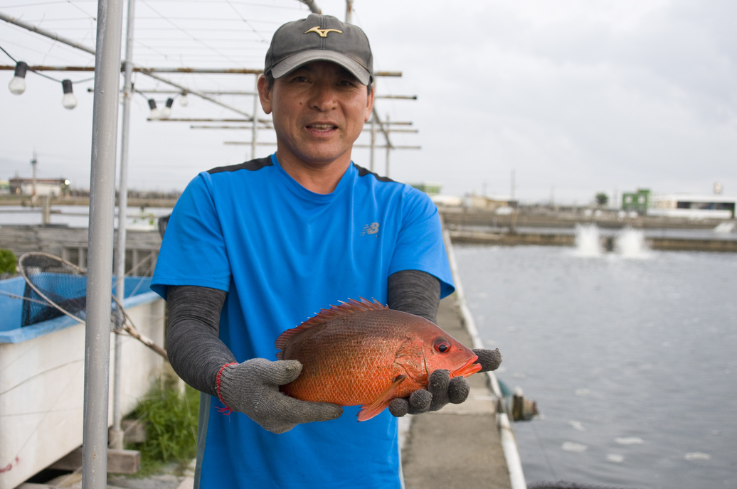 Canaan Fish Farm | Gogo-TaiwanFarm