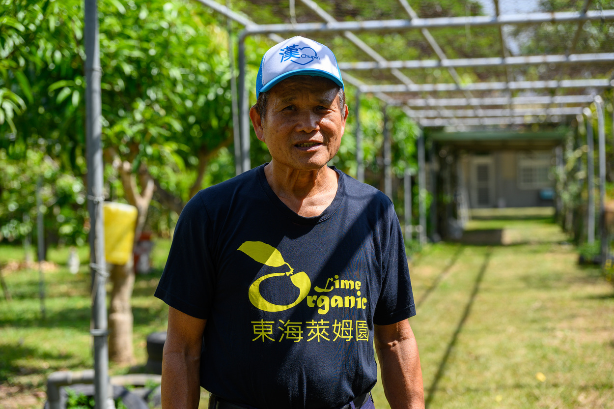 Dong Hai Lime Farm | Gogo-TaiwanFarm