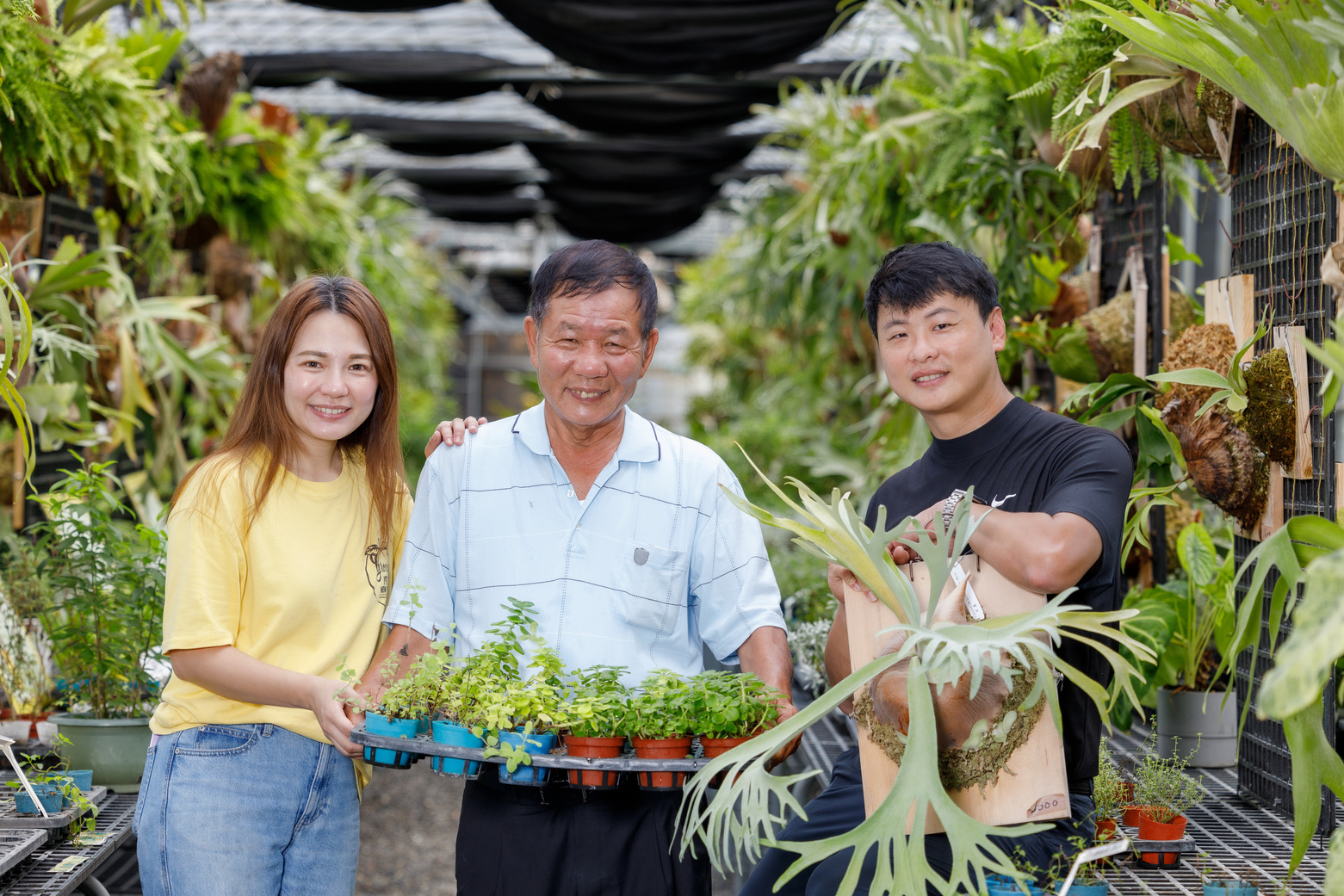SPRING GARDEN RANCH&RESORT | Gogo-TaiwanFarm