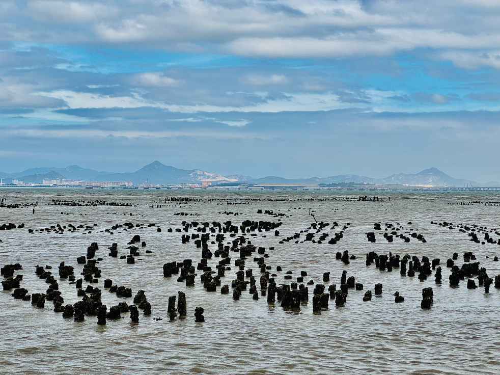 Kinmen Oyster Kids' Park | Gogo-TaiwanFarm
